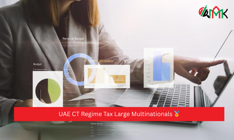 Domestic Minimum Top-Up Tax (DMTT) In UAE 🥇